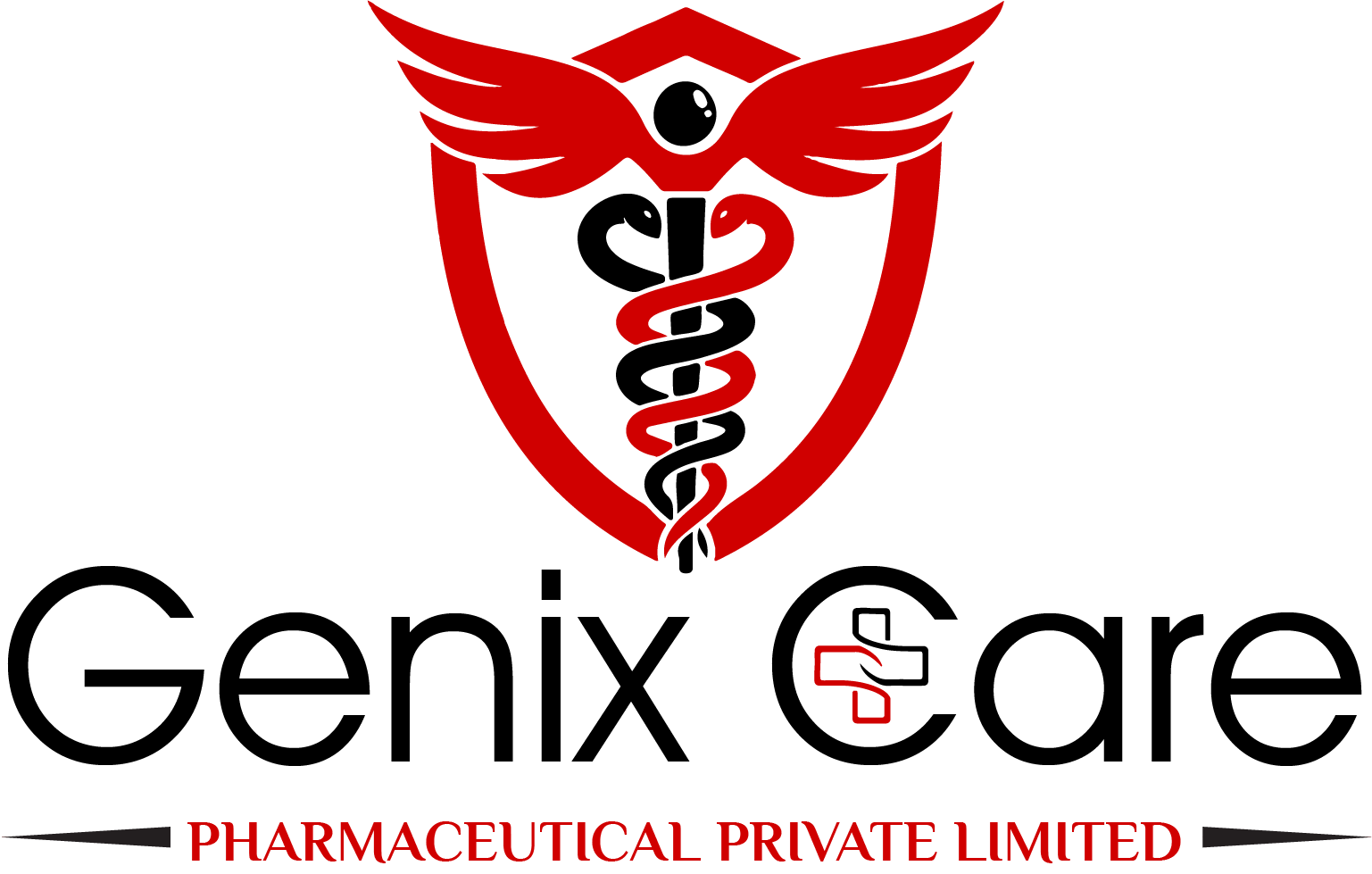 Genixcare Pharma : Pharmaceutical Company in India | Trusted Healthcare ...
